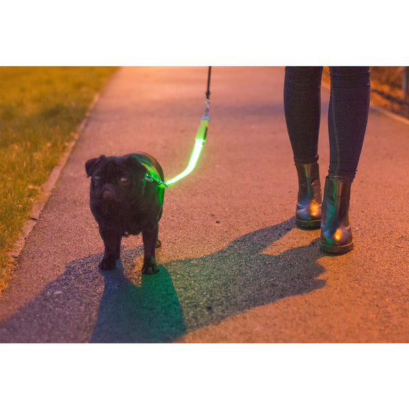 Hi-Vis Flashing Lead Attachment – Tweedmill Shopping Outlet